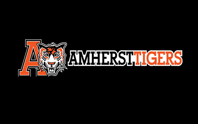 Amherst Central High School Athletic Hall of Fame Nominations being ...